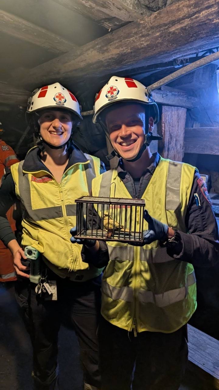 Coal mine exercise gives emergency services unique training | ambulance ...